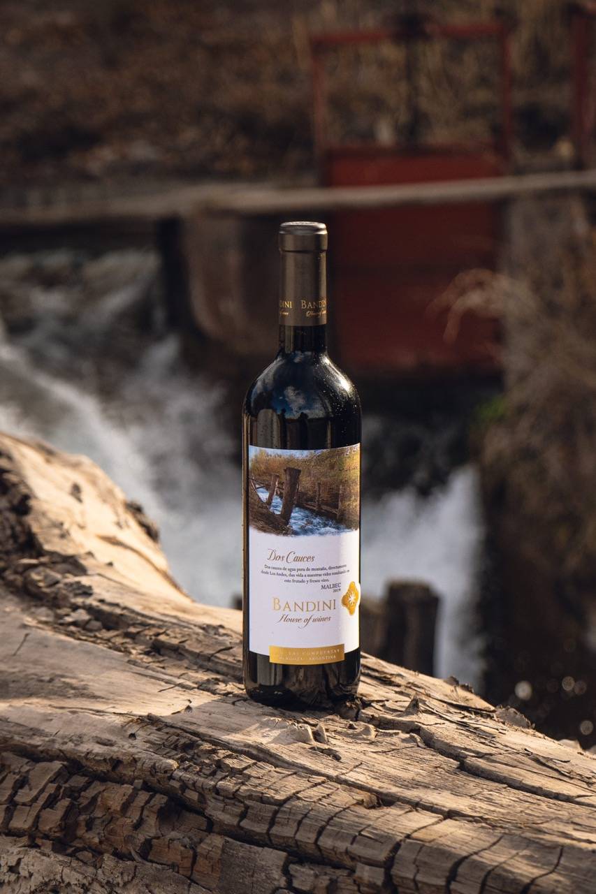 Reasons To Join The Bandini Wines Premium Wine Membership